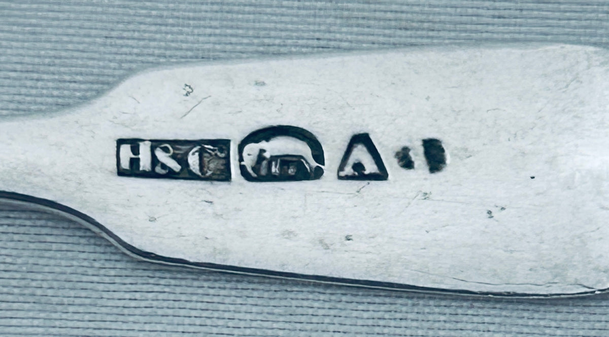 Indian Colonial Salt Spoon, Hamilton & Co, Calcutta, c.1850s-70s ...