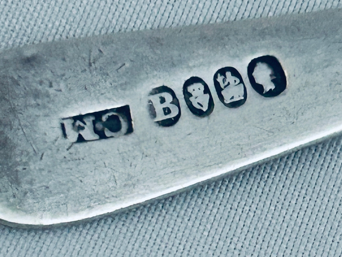 Georgian Irish silver salt spoon, Charles Marsh, Dublin, 1822 – Silver ...